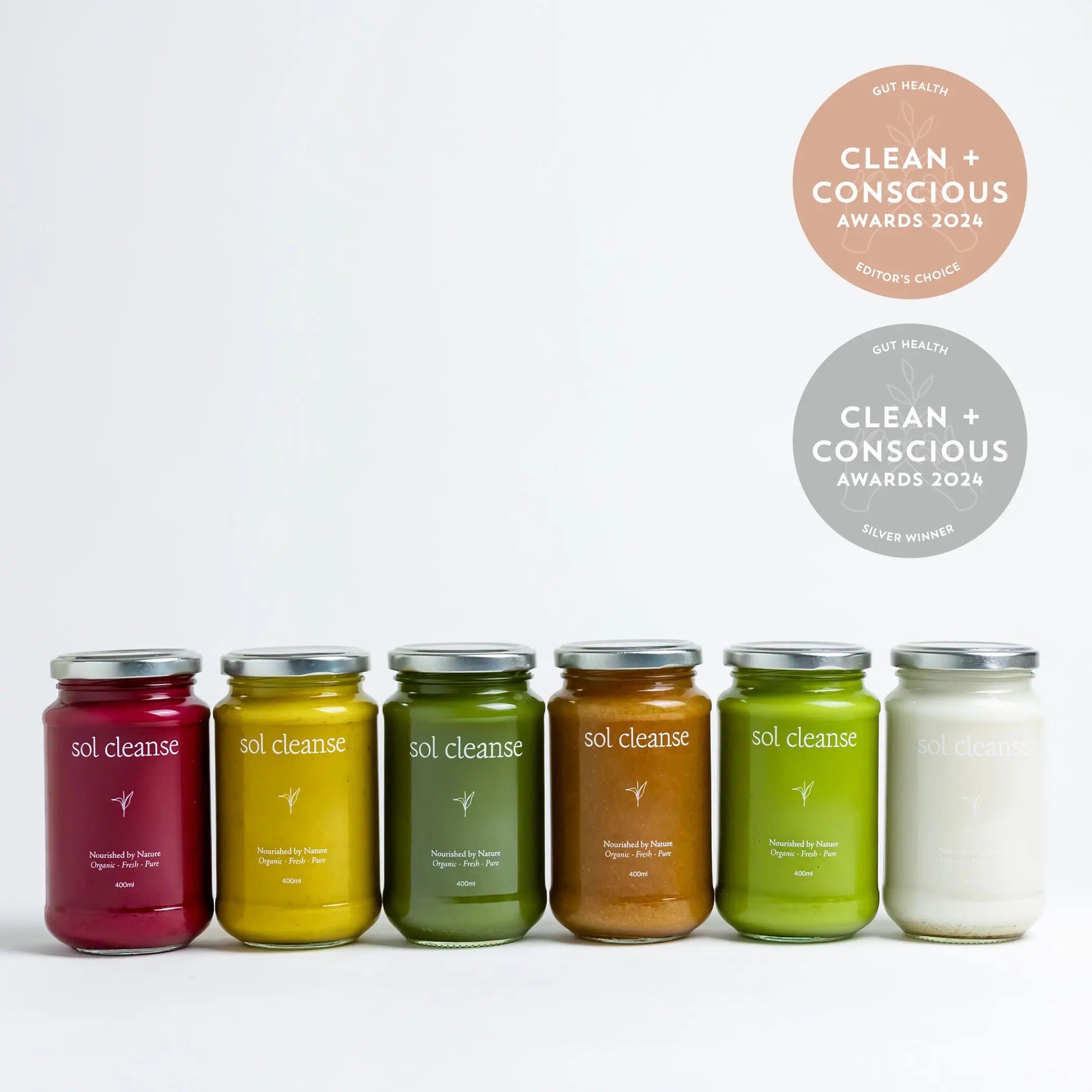 Gut Healing Cleanse: Restore & Soothe | A Low Fructose Cleanse By Sol ...