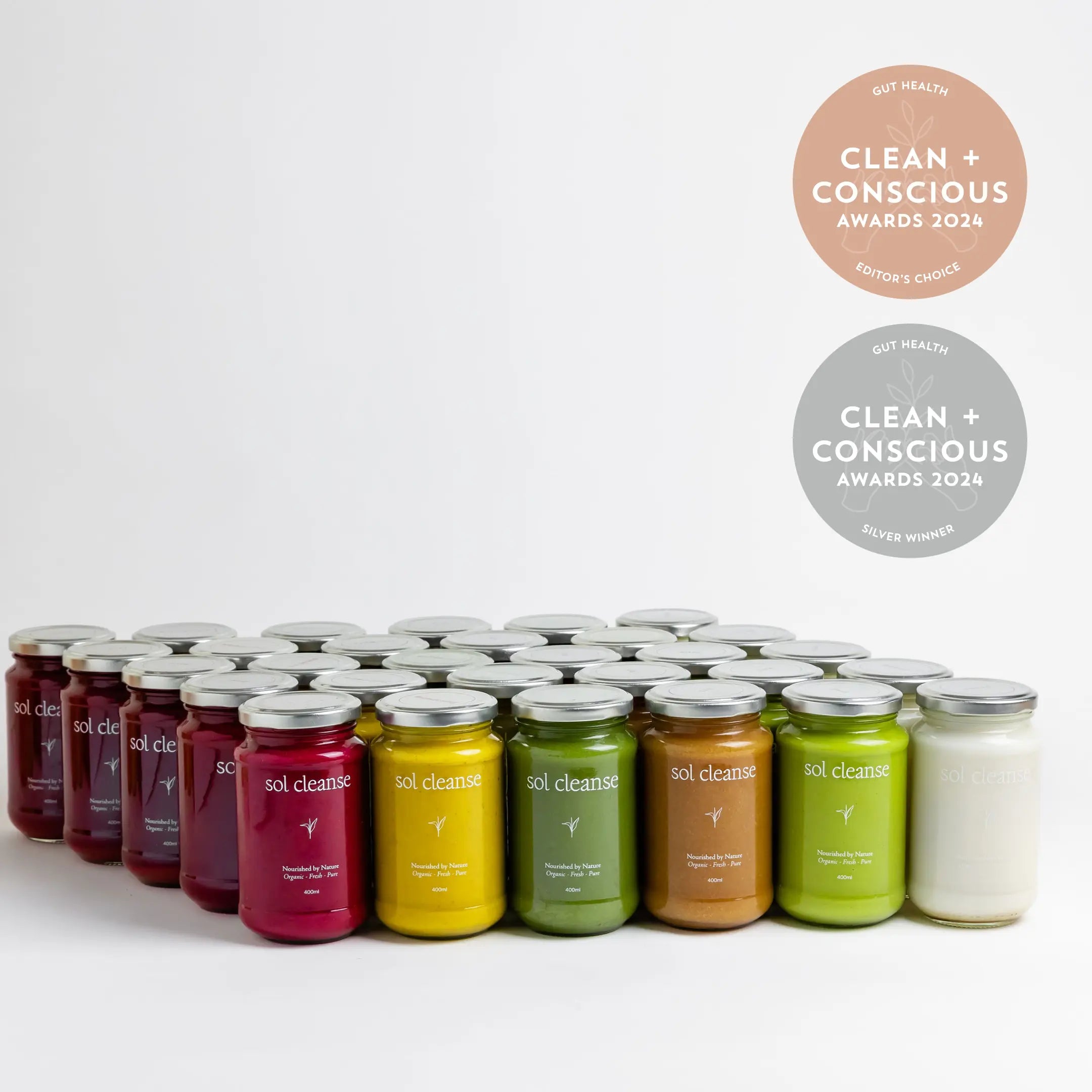 Gut Healing Cleanse: Restore & Soothe | A Low Fructose Cleanse By Sol ...