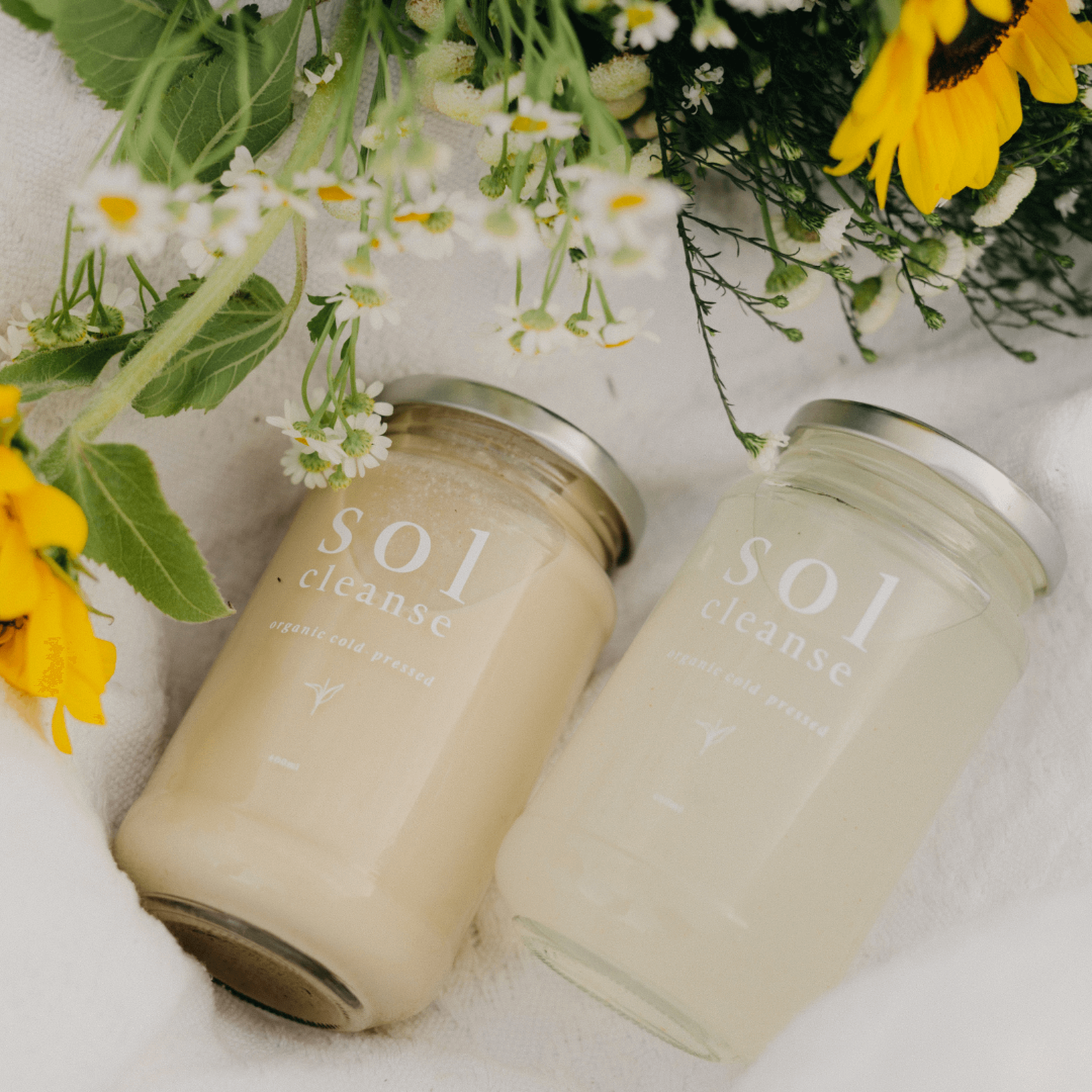 Extended Cleanse | 7 Day, 10 Day, 14 Day & 21 Day Cleanses Available ...